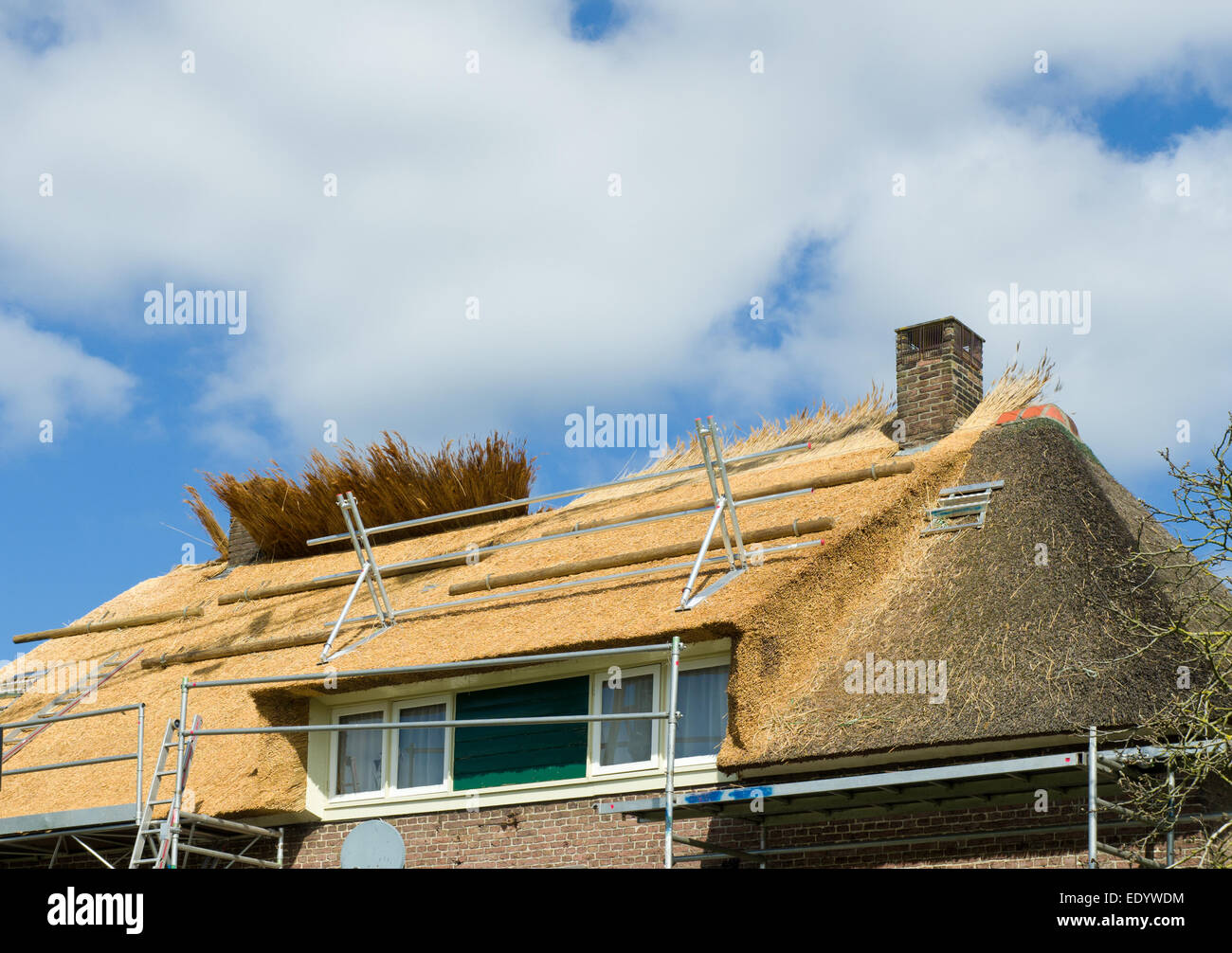 making a new thatched roof Stock Photo - Alamy
