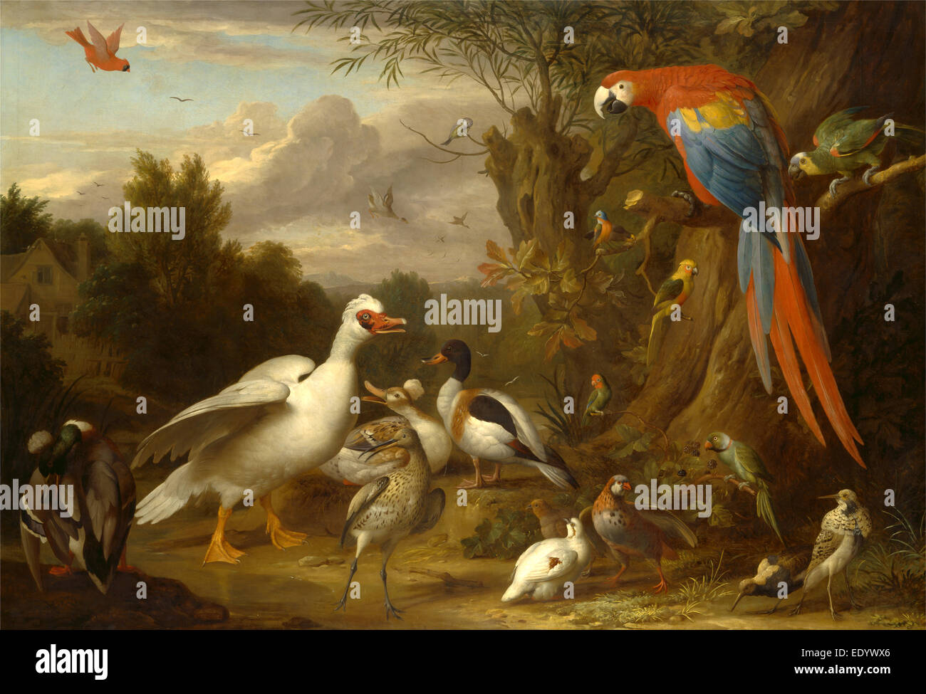 A Macaw, Ducks, Parrots and Other Birds in a Landscape Signed, lower ...