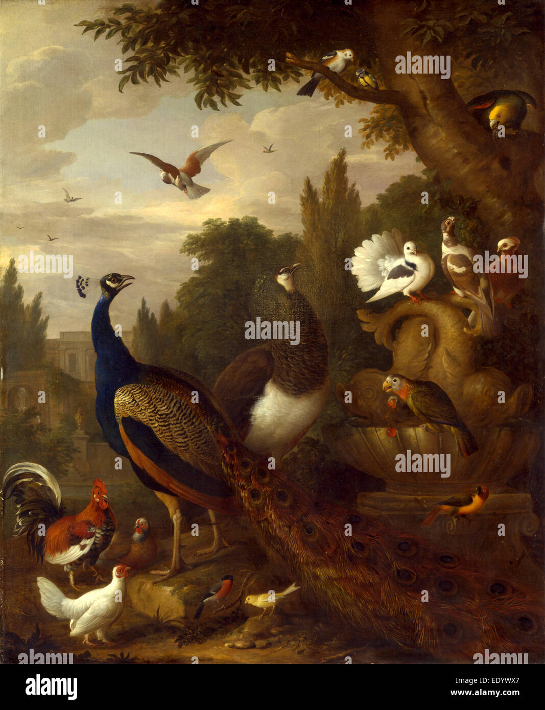 Peacock, peahen, parrots, canary, and other birds in a park Signed ...