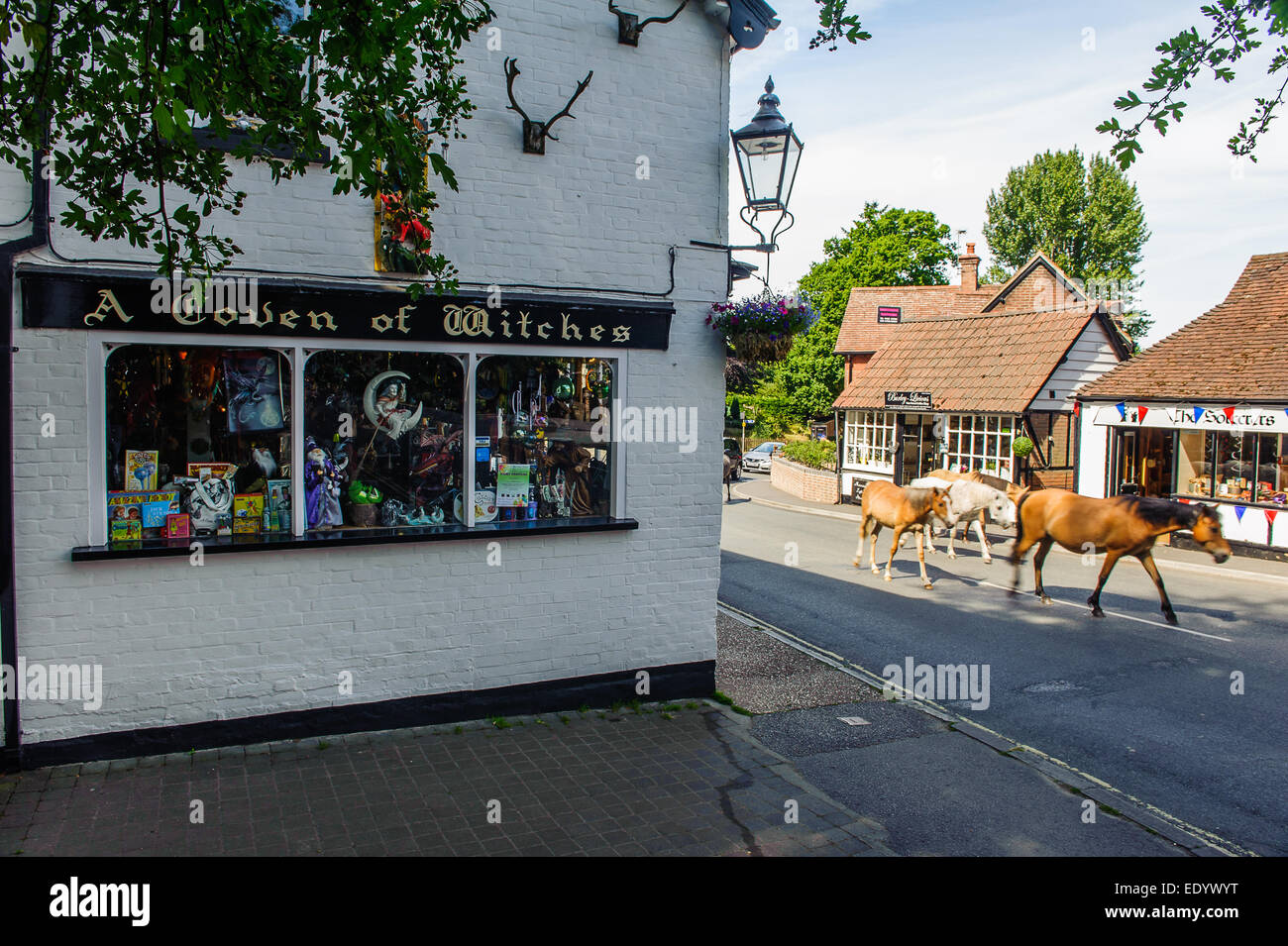 Burley village in the New Forest Stock Photo - Alamy