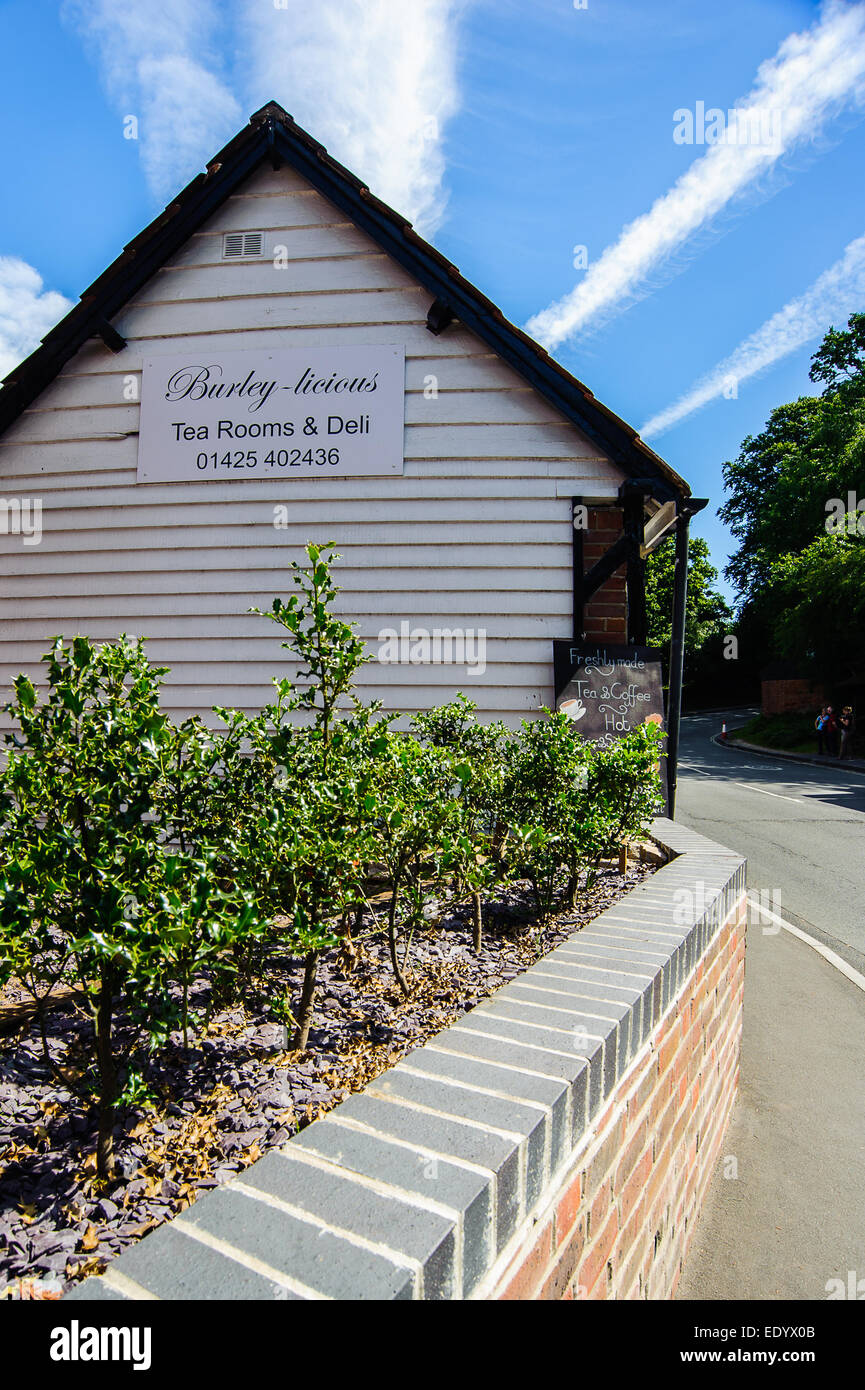 Burley village in the New Forest Stock Photo - Alamy