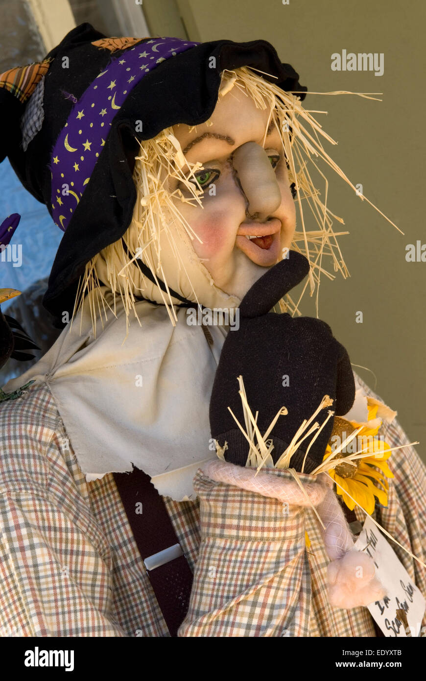 Scarecrow display hi-res stock photography and images - Alamy