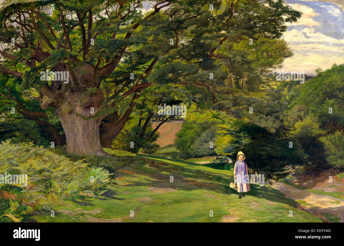 Hayes common hi-res stock photography and images - Alamy