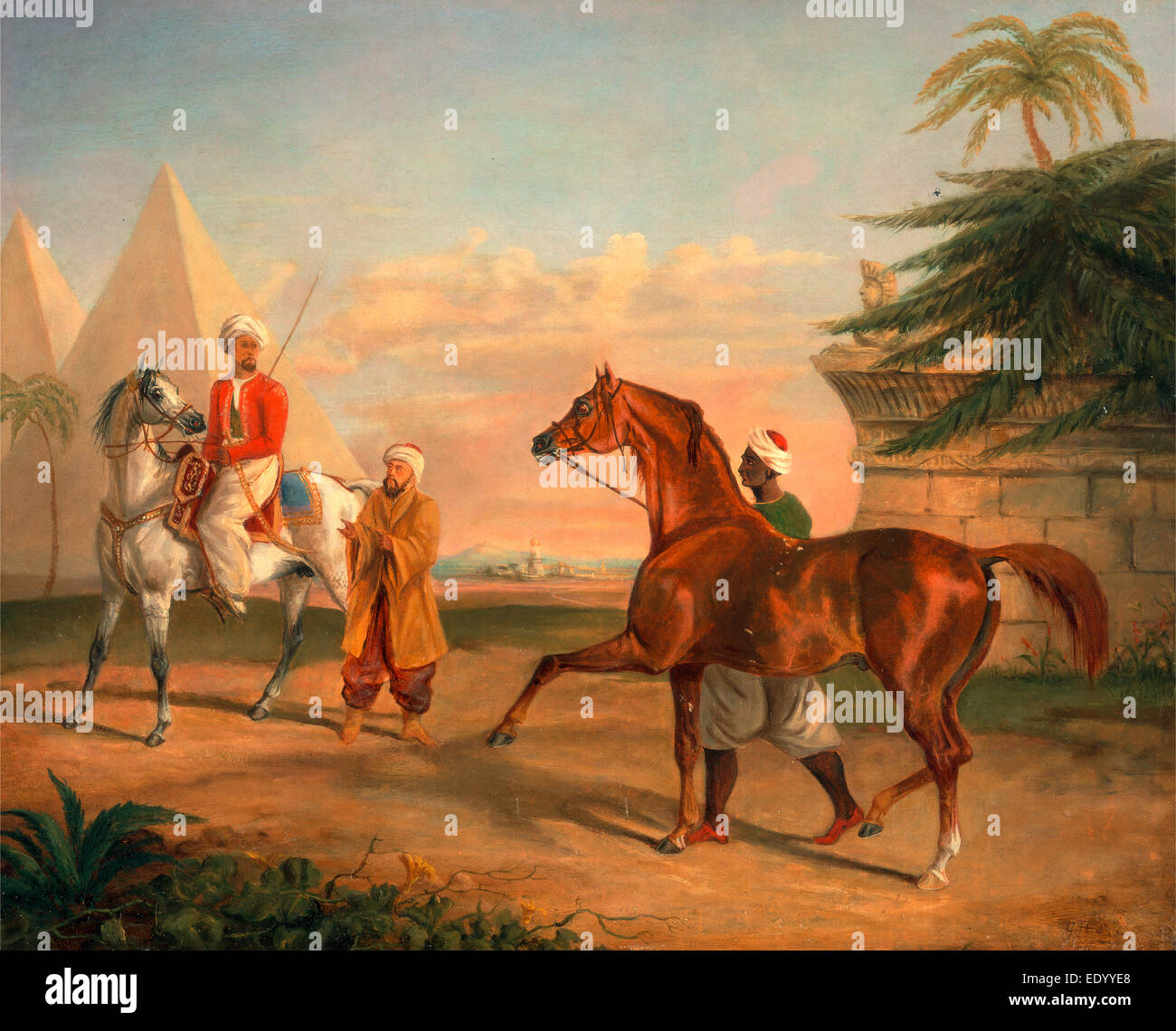 Mameluke horse hi-res stock photography and images - Alamy