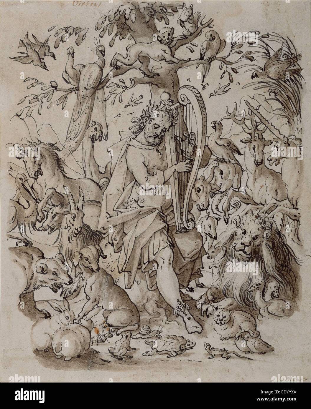 Orpheus with animals hi-res stock photography and images - Alamy