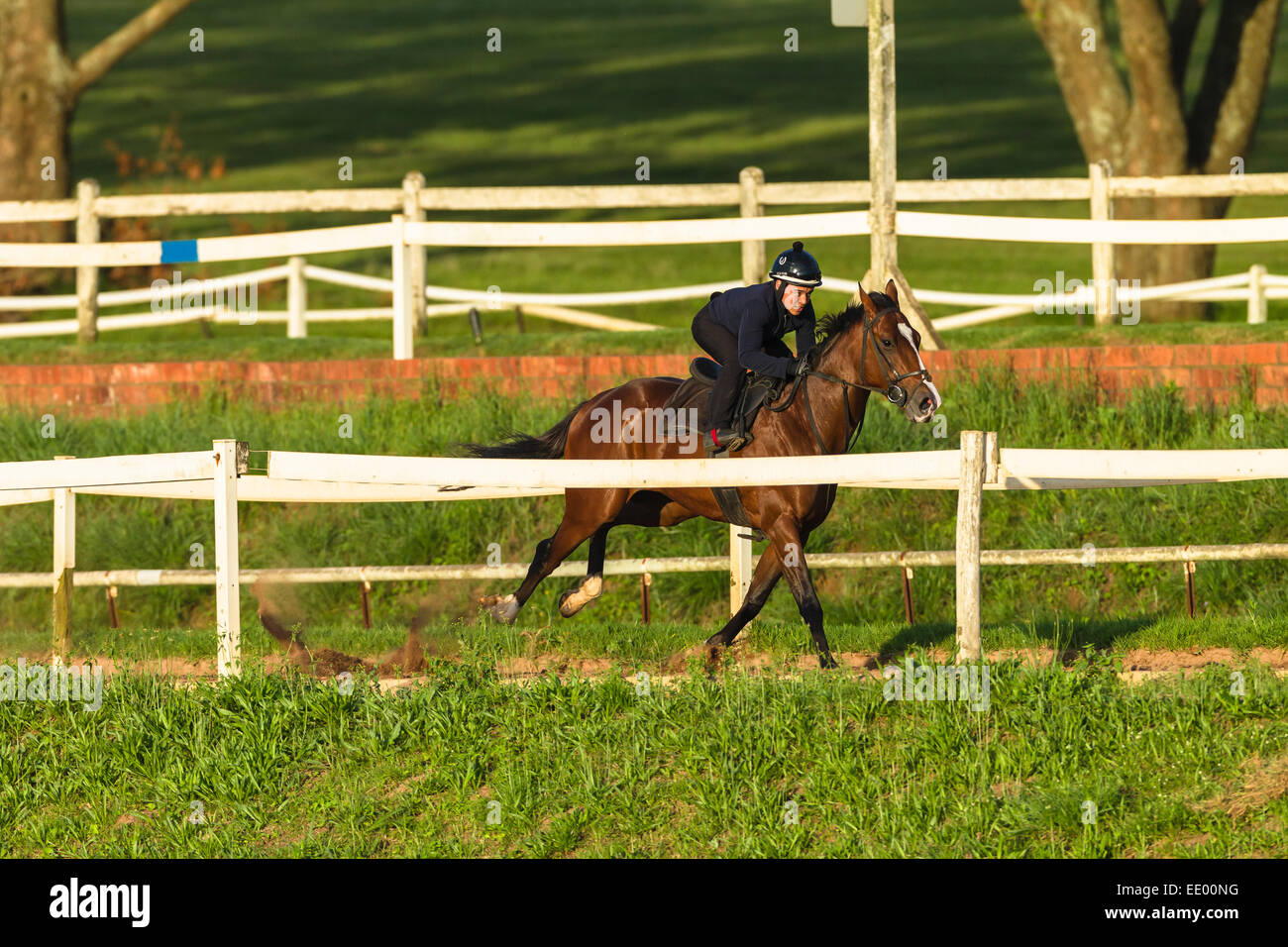 Race horse rider jockey training tracks dawn colors running closeup ...