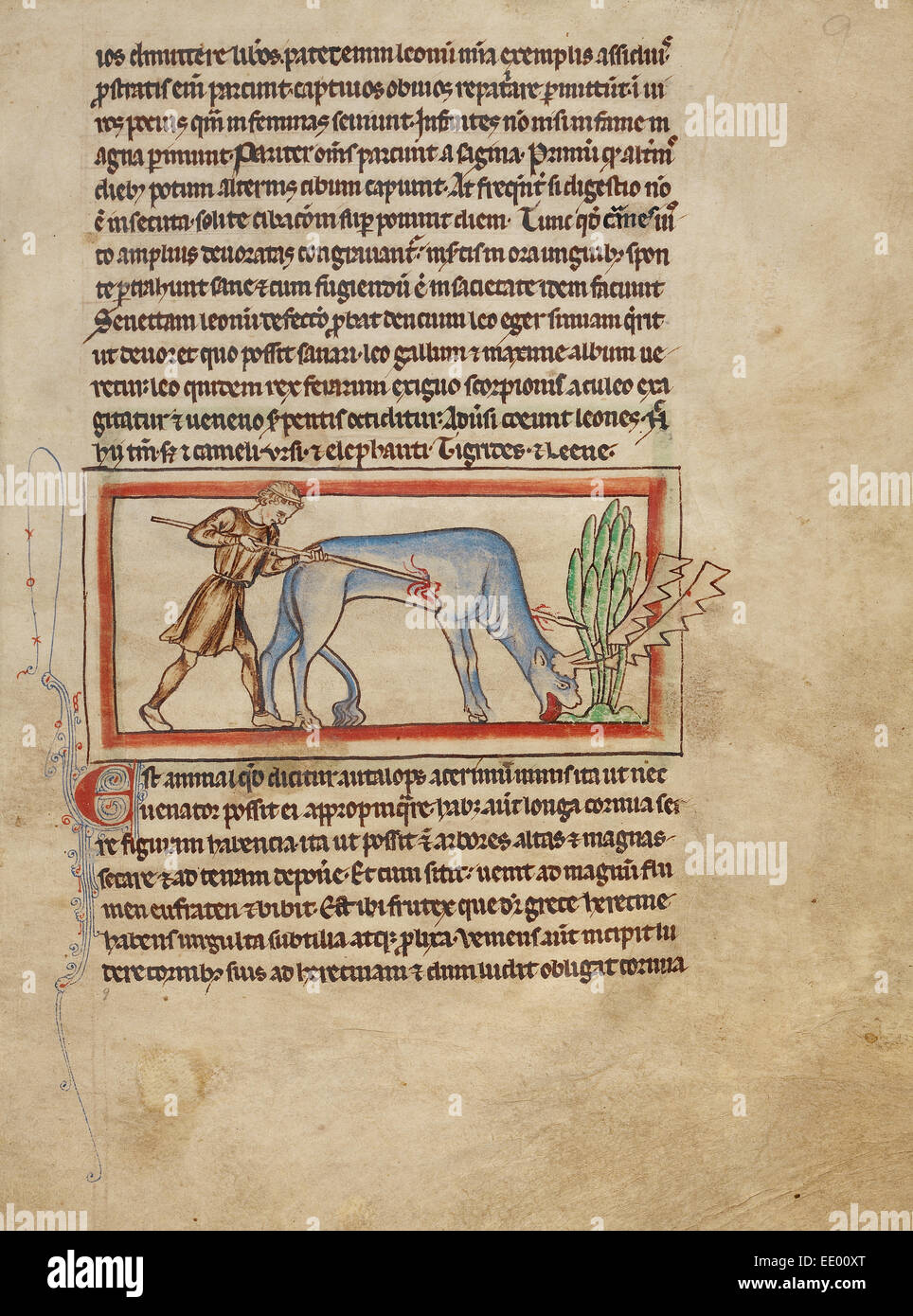 An Antelope; Unknown; England, Europe; about 1250 - 1260; Pen-and-ink ...