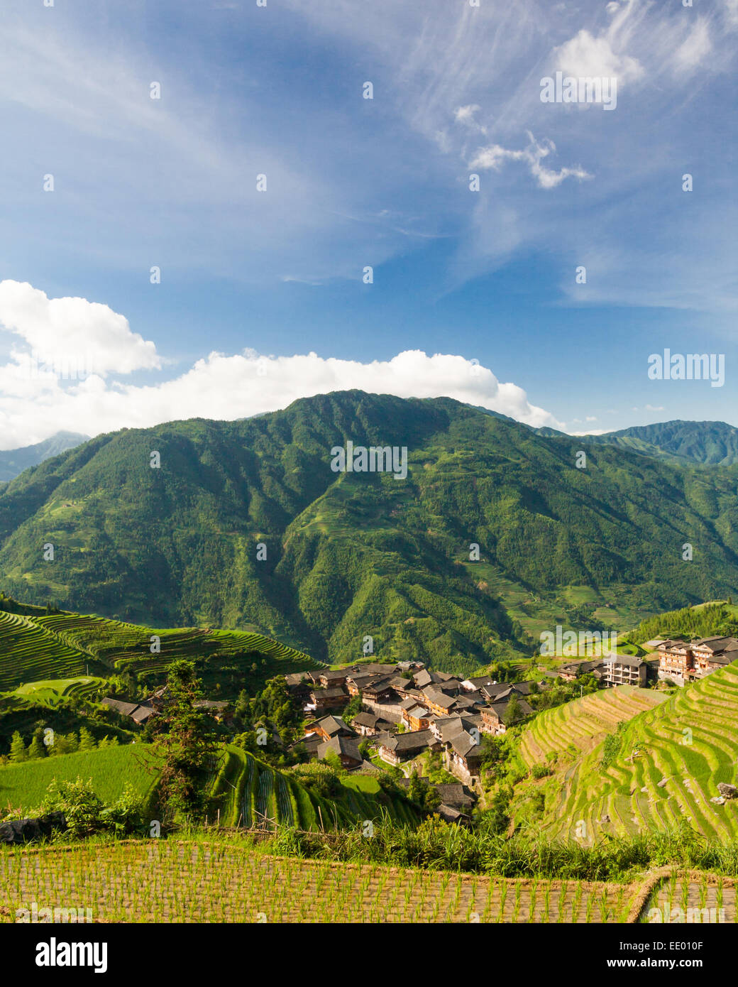Landscape photo of rice terraces in china Stock Photo - Alamy