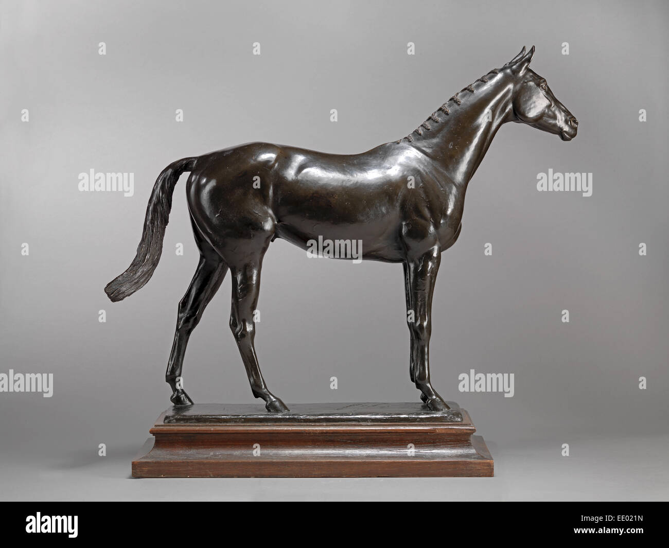 The tetrach horse hi-res stock photography and images - Alamy