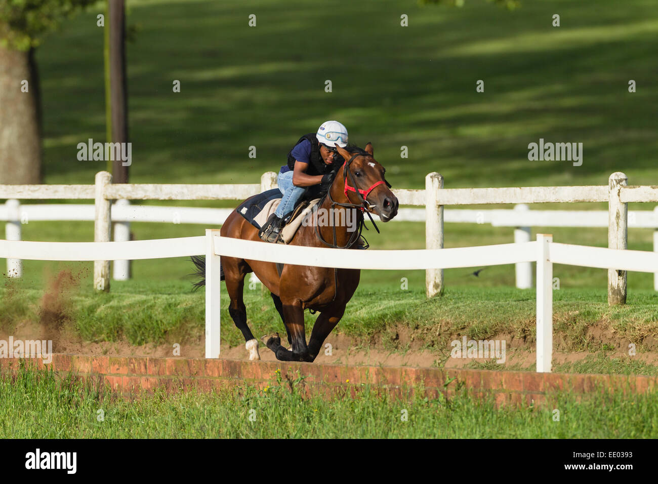 Race horse rider jockey training tracks dawn colors running closeup ...