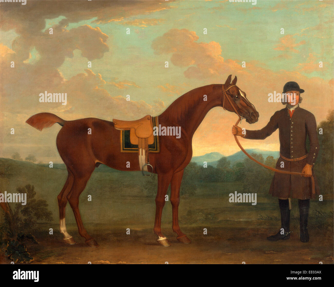 The old fox hi-res stock photography and images - Alamy