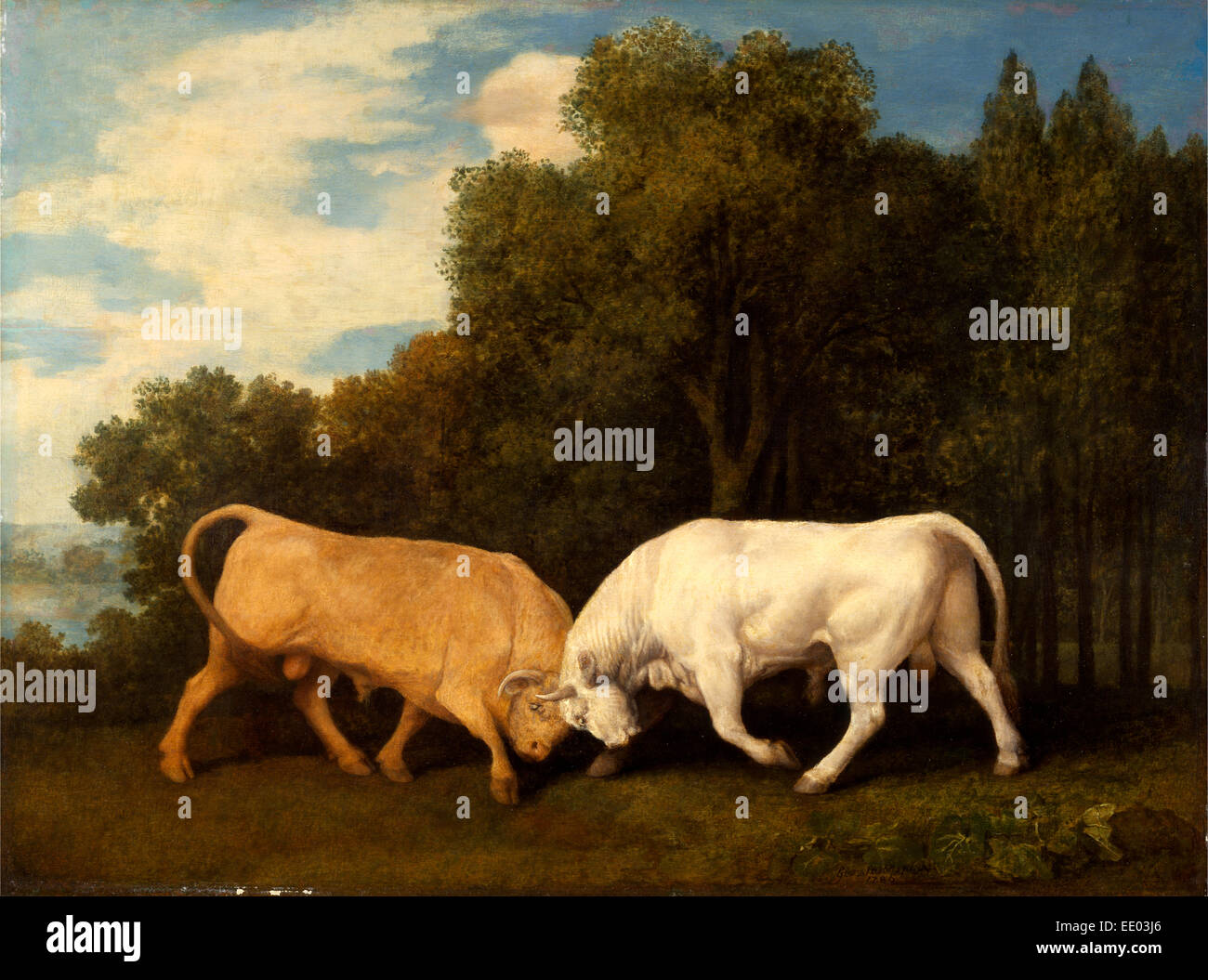 Geo art animals hi-res stock photography and images - Alamy