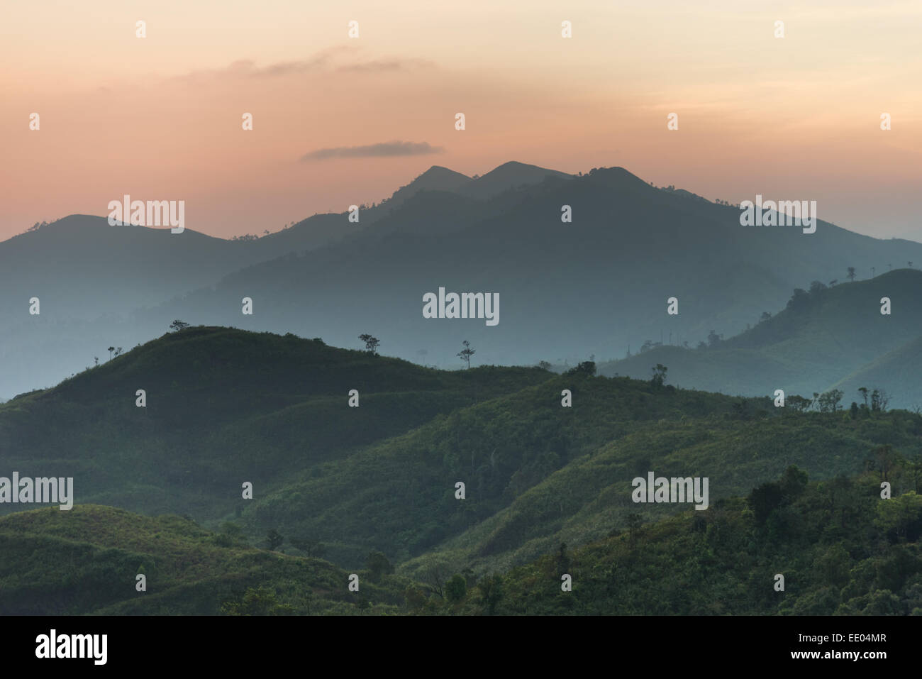 The nature layer Stock Photo - Alamy
