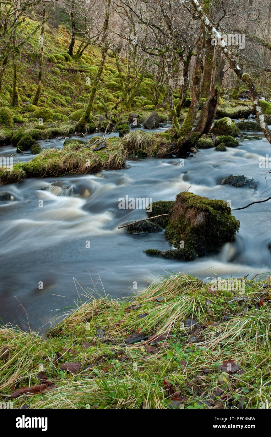 The Pass of Inverfarigaig Stock Photo - Alamy