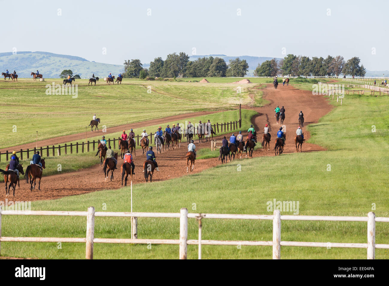 Race horse rider jockey training tracks dawn colors running closeup ...