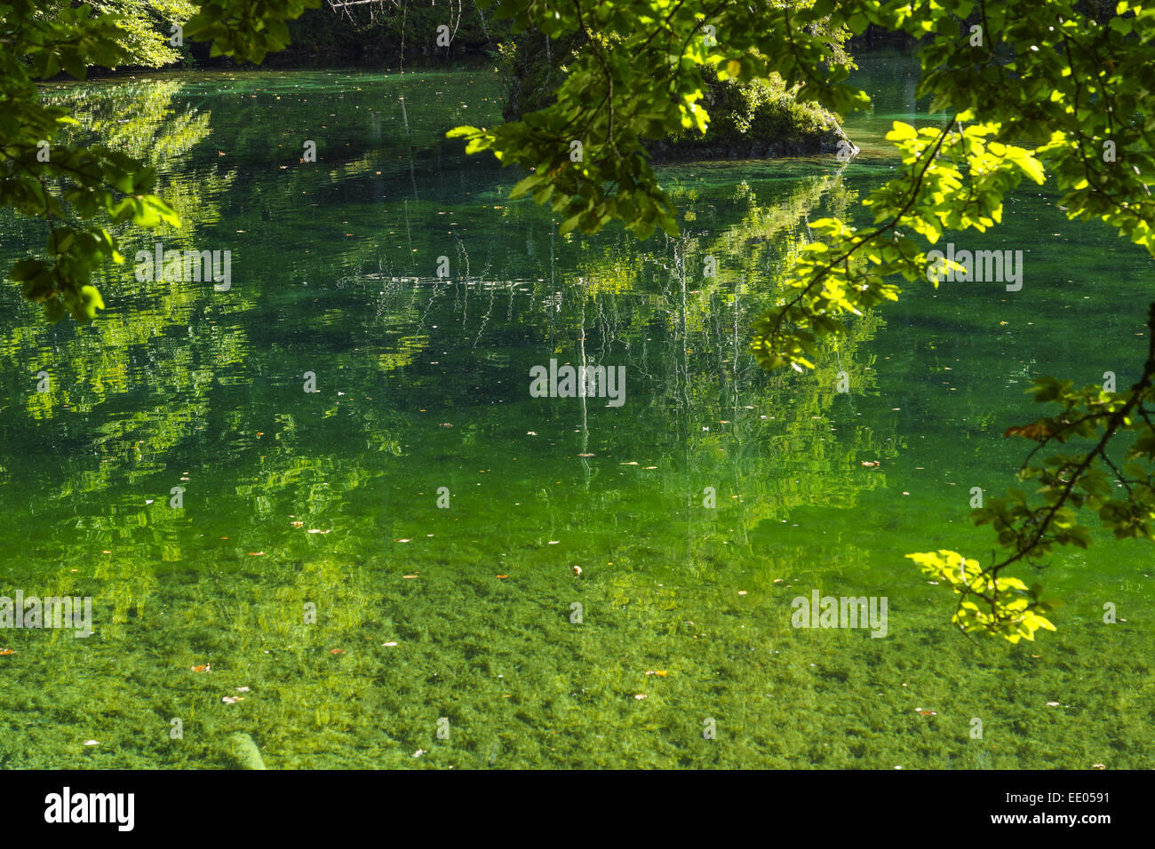 Der Badersee bei Grainau, Garmisch-Partenkirchen, Werdenfels, Bayern ...