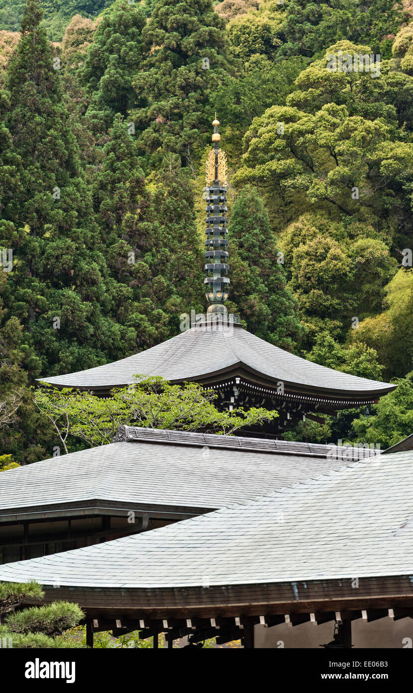 Saiho-ji zen temple (Koke-dera, the Moss Temple), Kyoto, Japan Stock ...