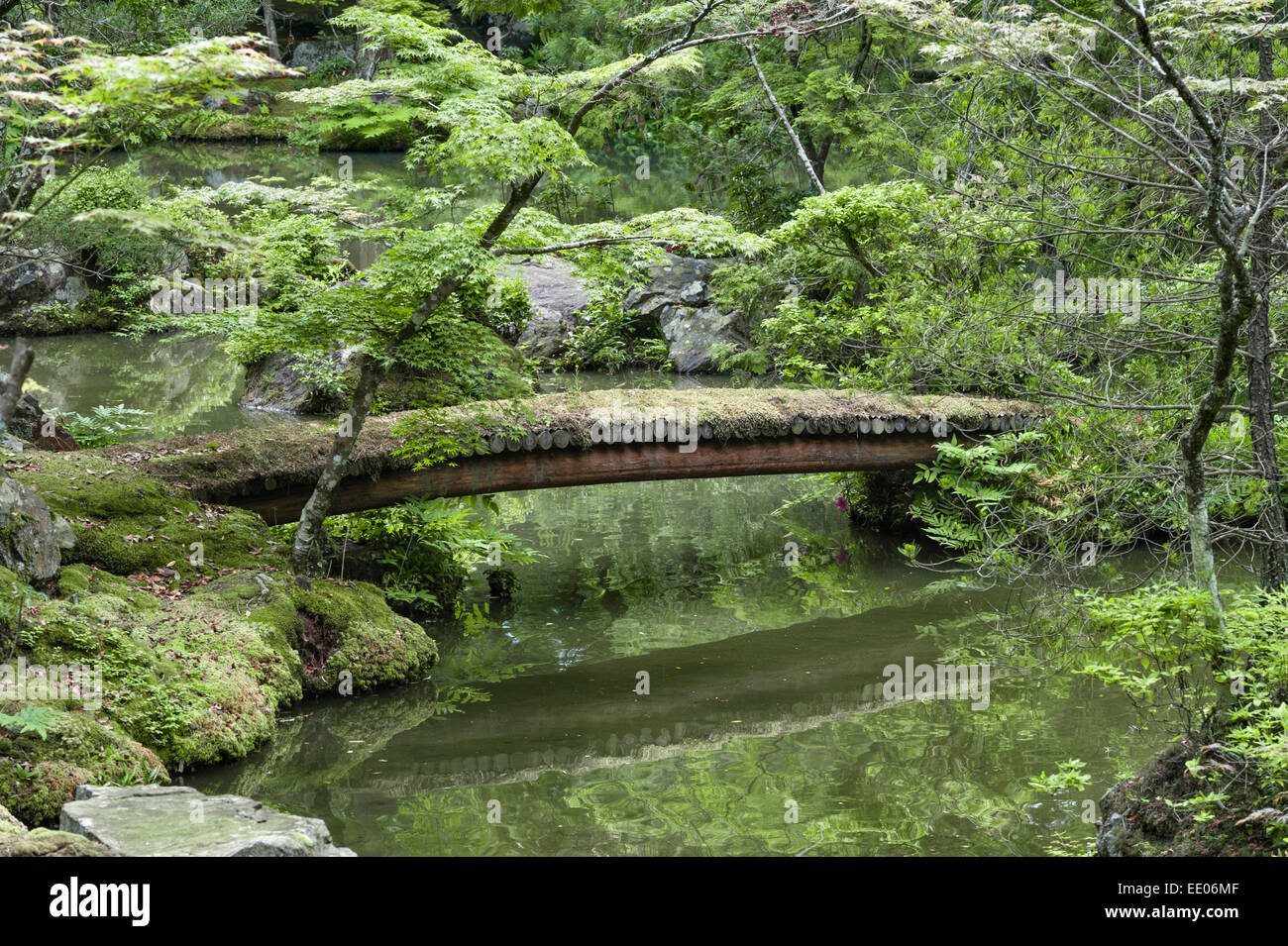 Koke dera temple hi-res stock photography and images - Alamy