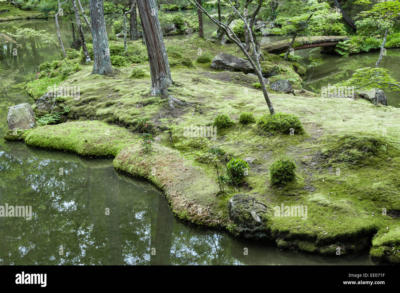 Kokedera moss garden japan hi-res stock photography and images - Alamy