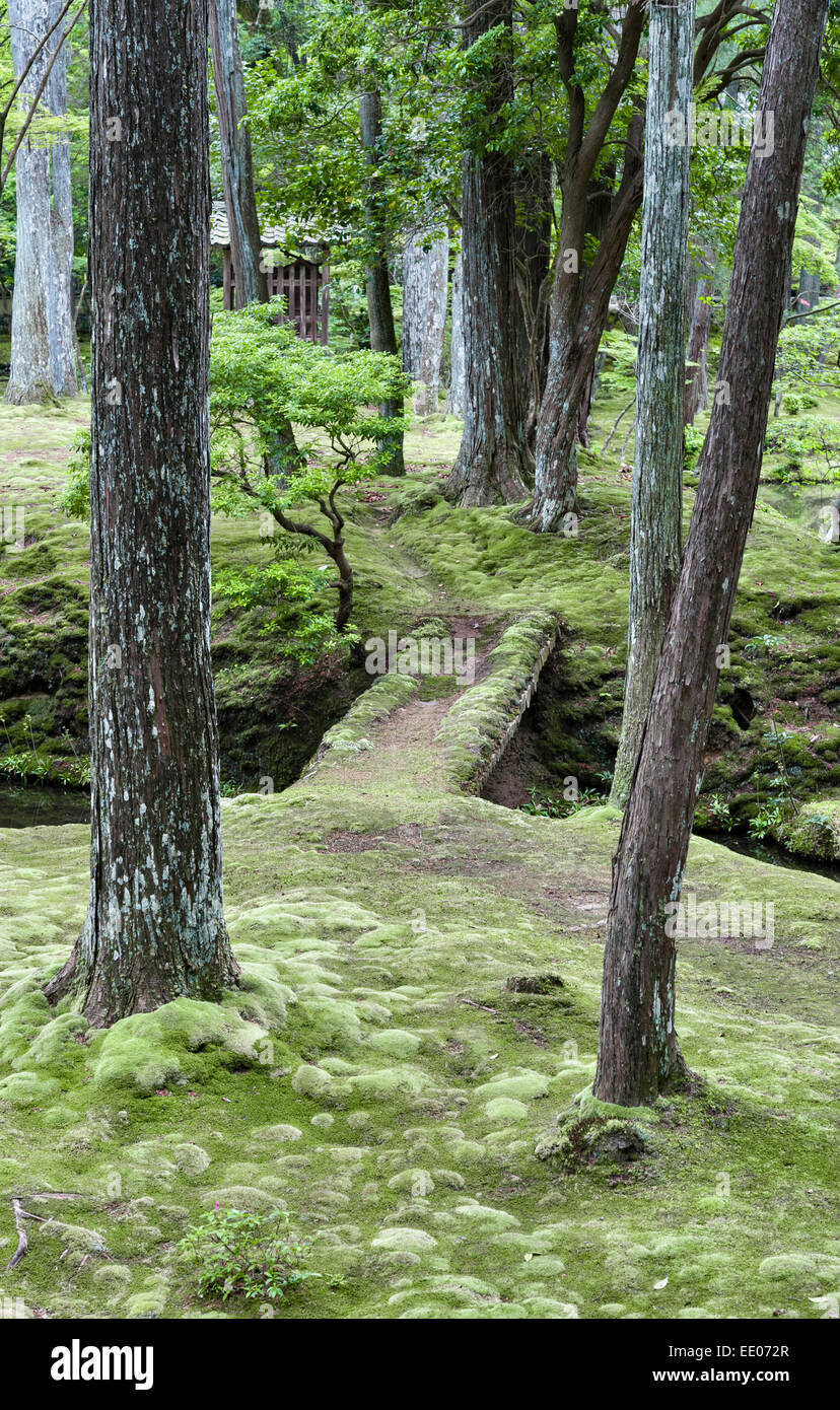 Saiho-ji zen temple (Koke-dera, the Moss Temple), Kyoto, Japan. Moss ...
