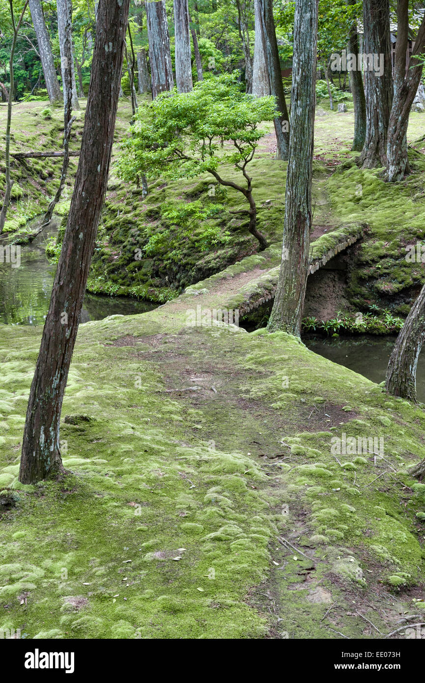Saiho-ji zen temple (Koke-dera, the Moss Temple), Kyoto, Japan. An old ...