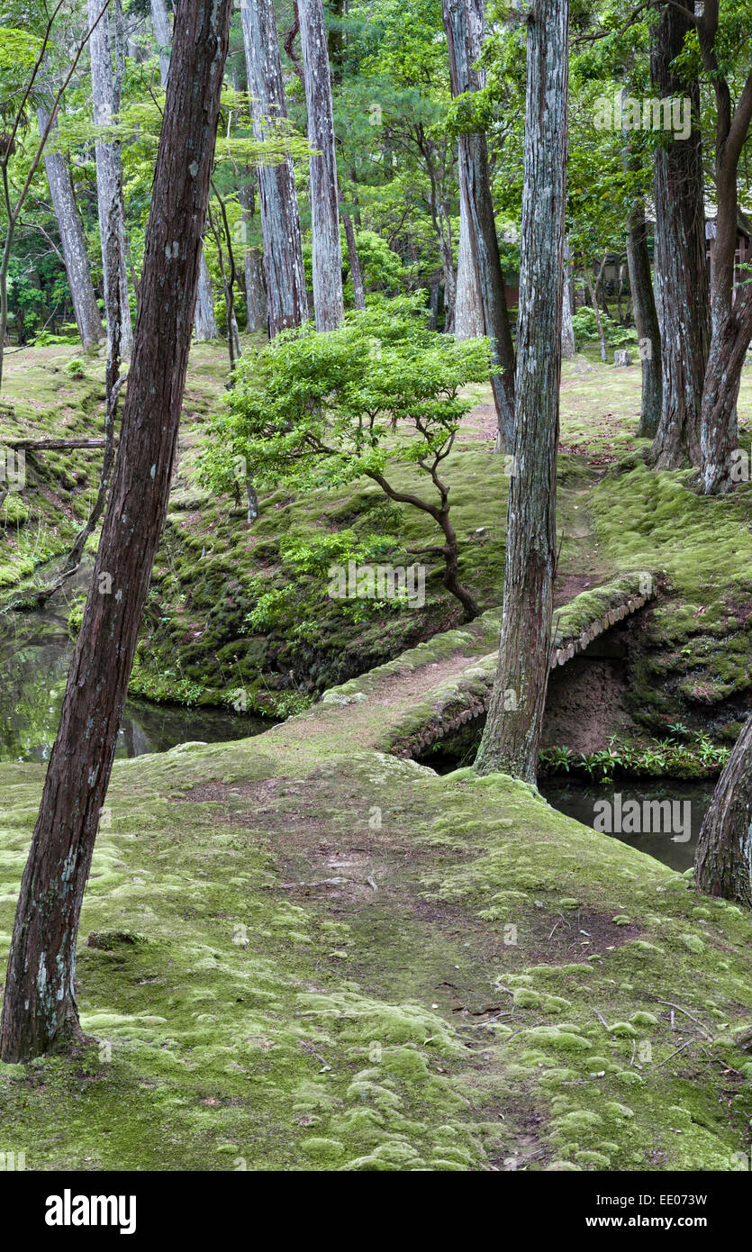 Saiho-ji zen temple (Koke-dera, the Moss Temple), Kyoto, Japan. An old ...