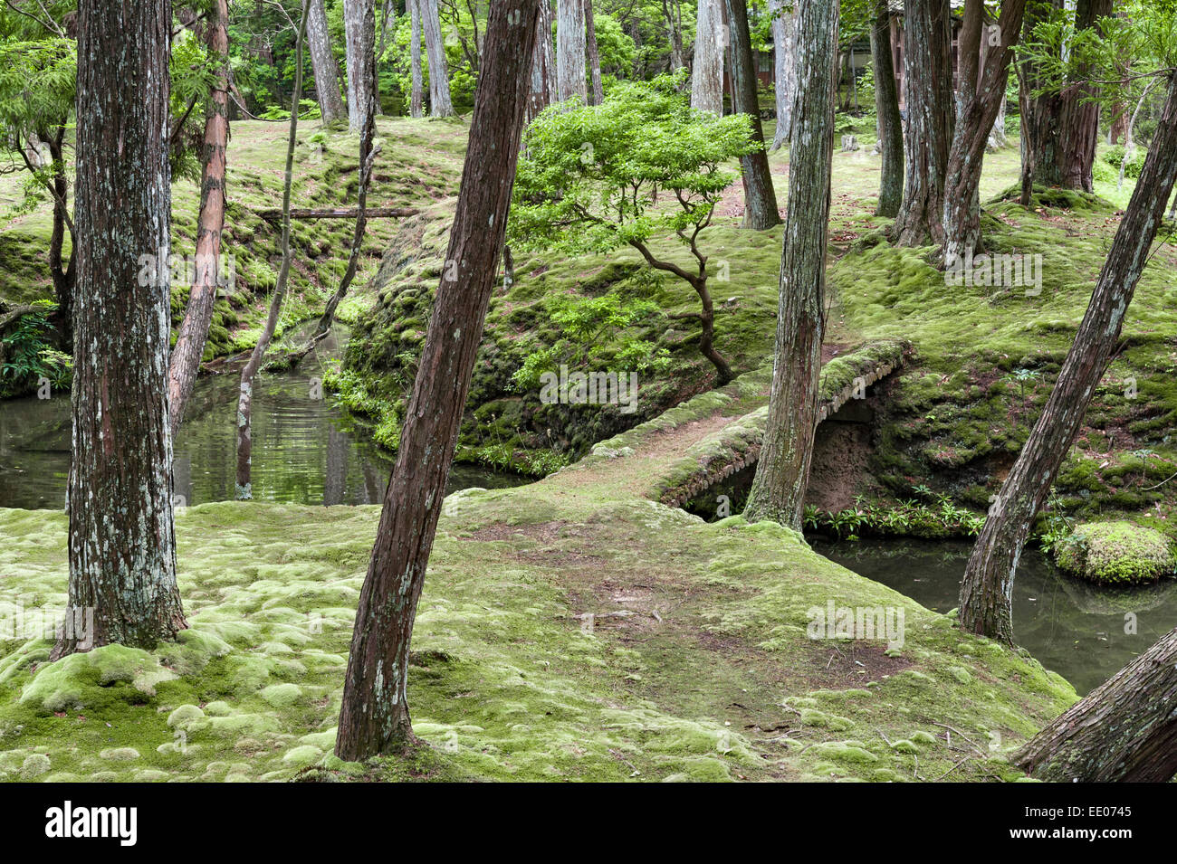 Saiho-ji zen temple (Koke-dera, the Moss Temple), Kyoto, Japan. An old ...