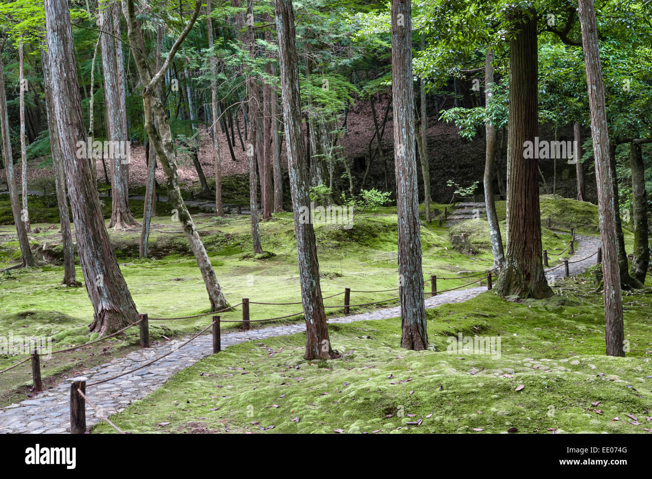 Saiho-ji zen temple (Koke-dera, the Moss Temple), Kyoto, Japan. A path ...