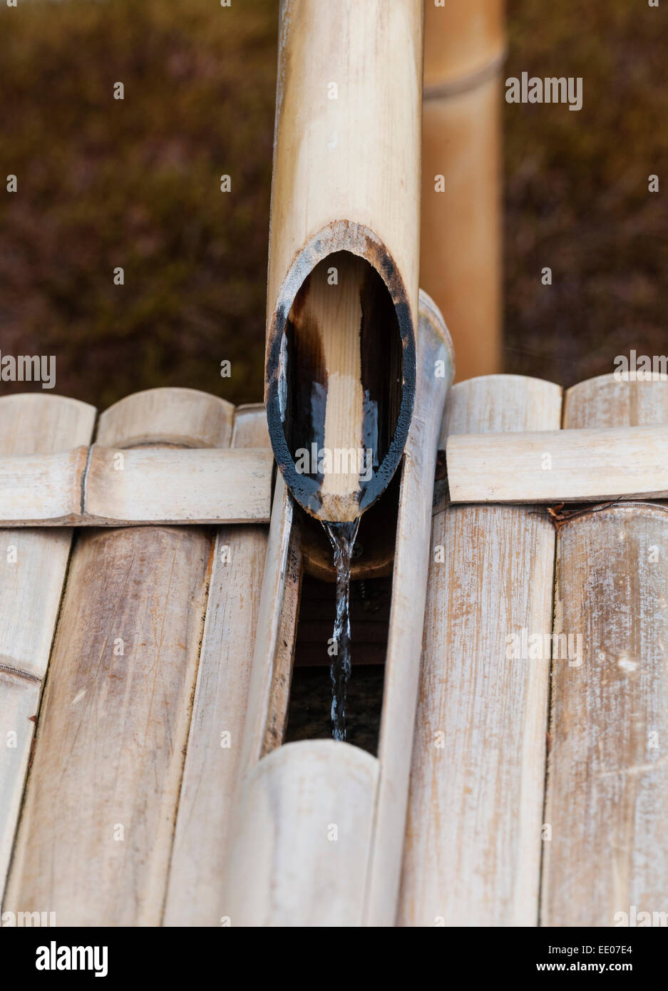 Fushimi-inari Shrine, Kyoto, Japan. Detail of a traditional bamboo ...