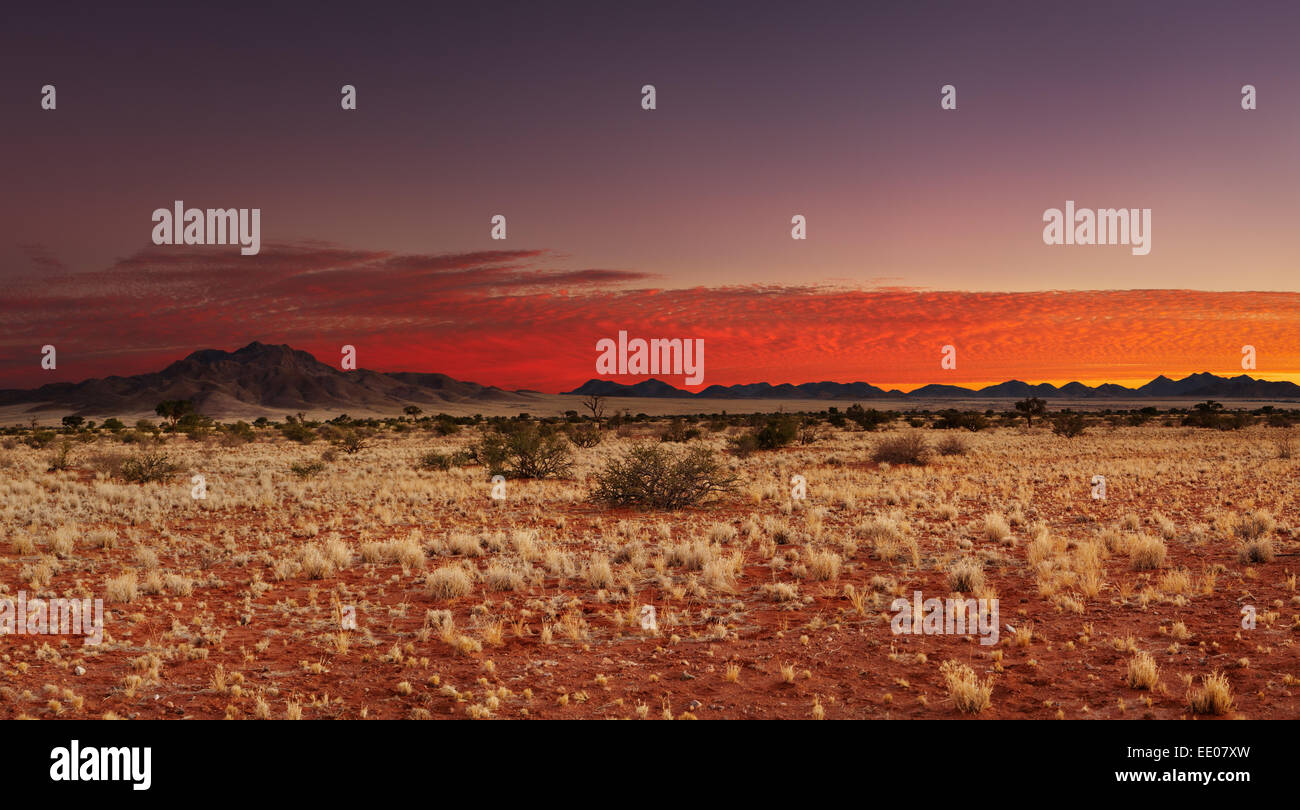 Colorful sunset in Kalahari Desert, Namibia Stock Photo - Alamy