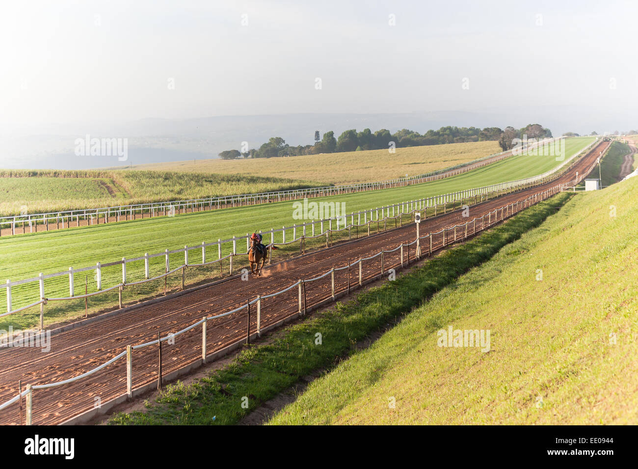 Race Horses Training Stock Photo - Alamy