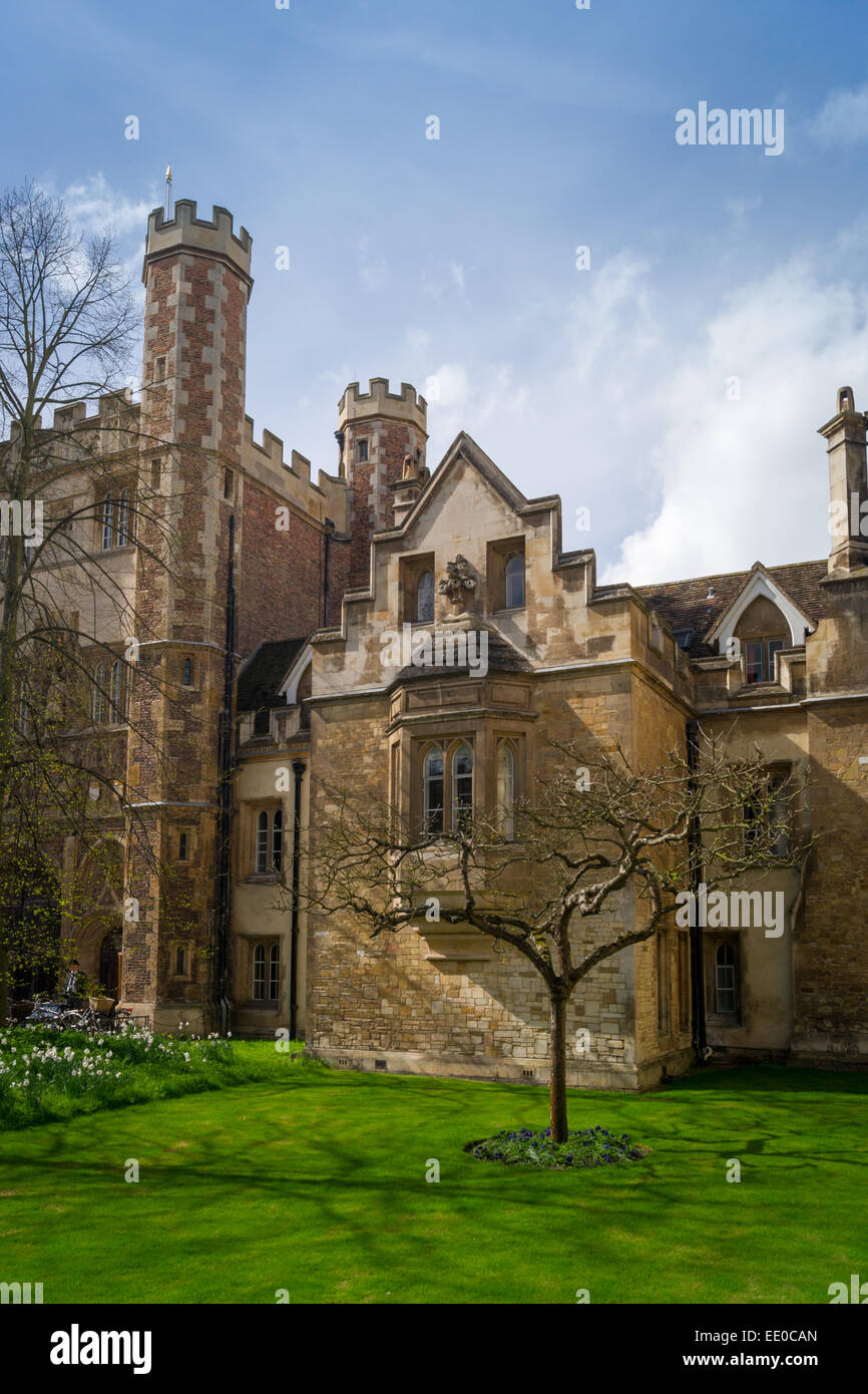 Descendant of Newton's Apple Tree, Trinity College, Cambridge, UK Stock ...