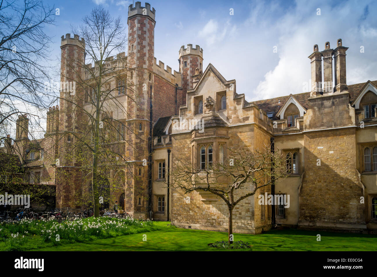 Trinity College Great Gate and descendant of Newton's Apple Tree ...