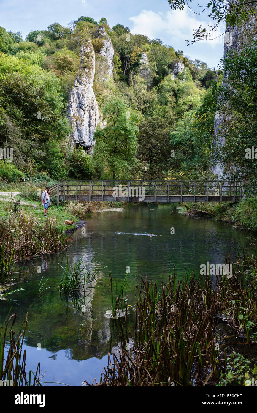 Fotbridge over the River Dove at Ilam Rock, Dovedale, Peak District ...