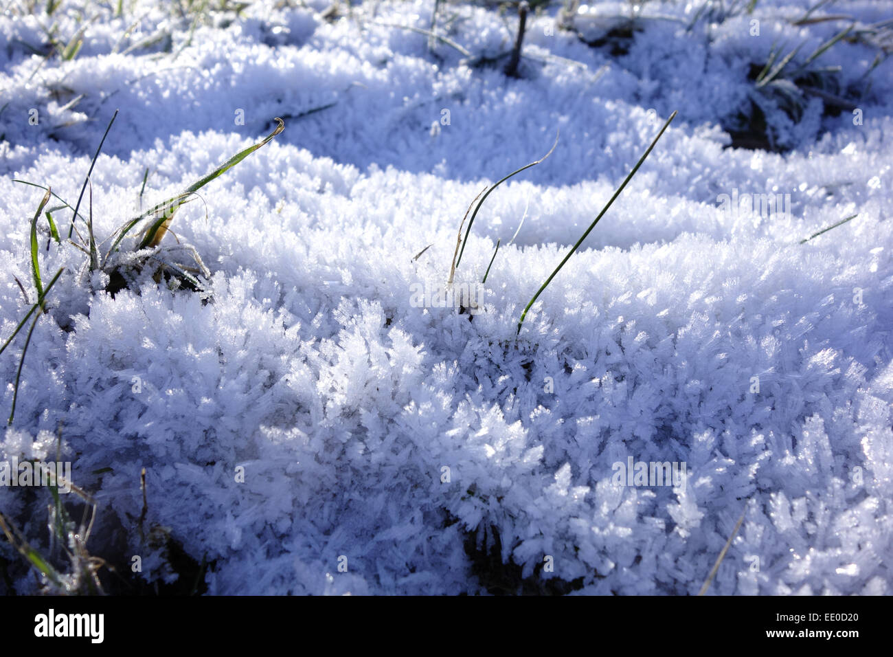 Schneekristalle im Winter, Snow crystals in winter, Winter, Snow ...