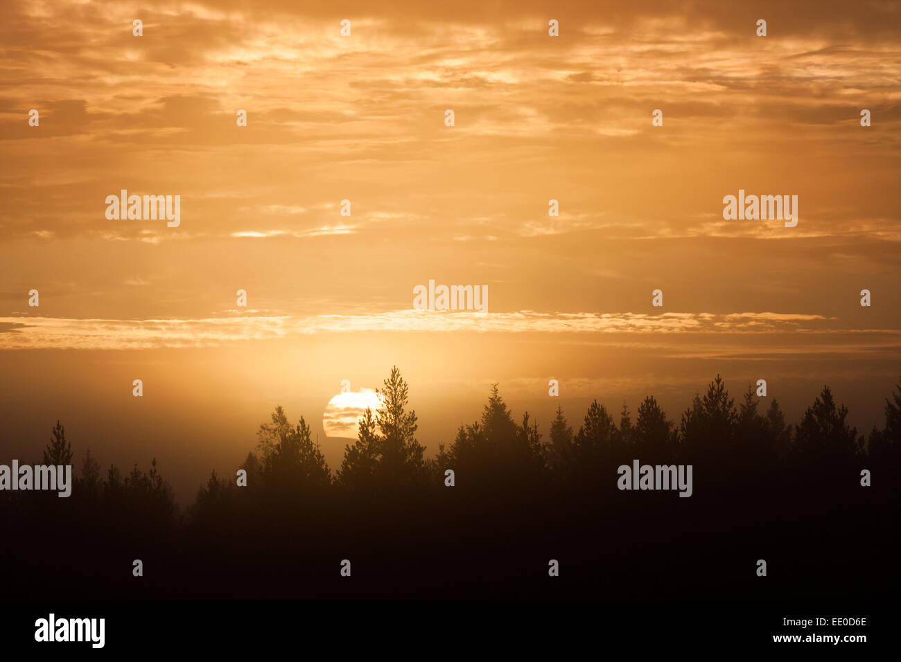 Sunrise over forest Stock Photo - Alamy