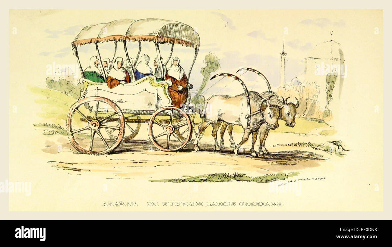 Arabat or Turkish Ladies Carriage, Damascus and Palmyra, a journey to ...