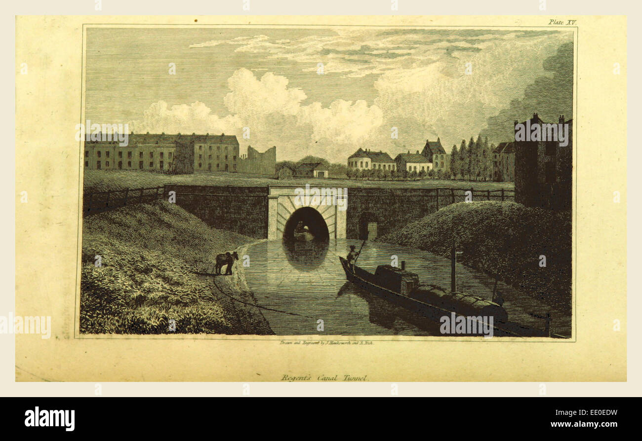 The history and antiquities of the parish of Islington, in the county ...