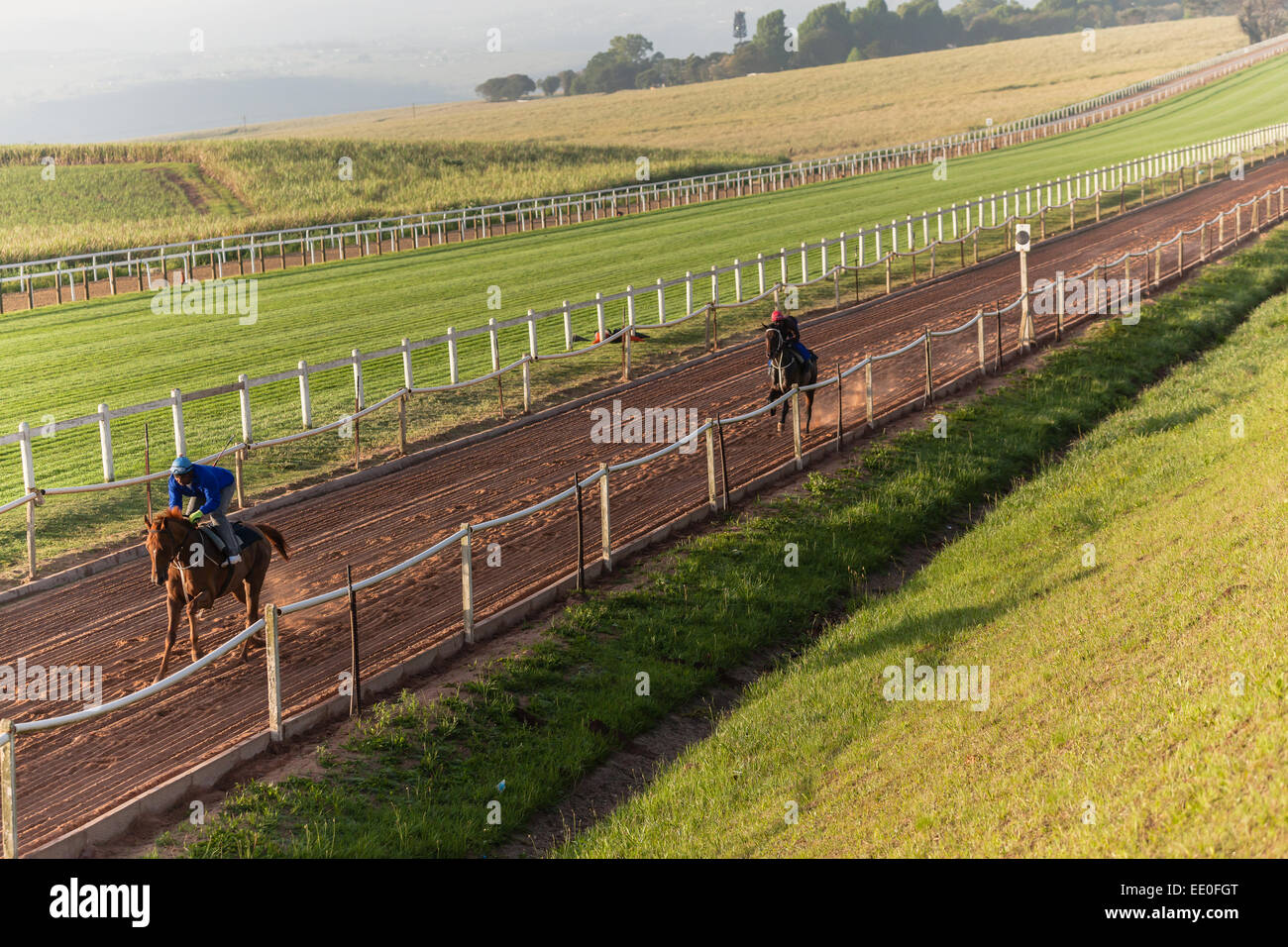 Race Horses Training Stock Photo - Alamy