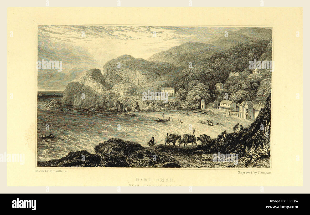 The Picturesque Beauties of Devonshire, Babicombe, 19th century ...