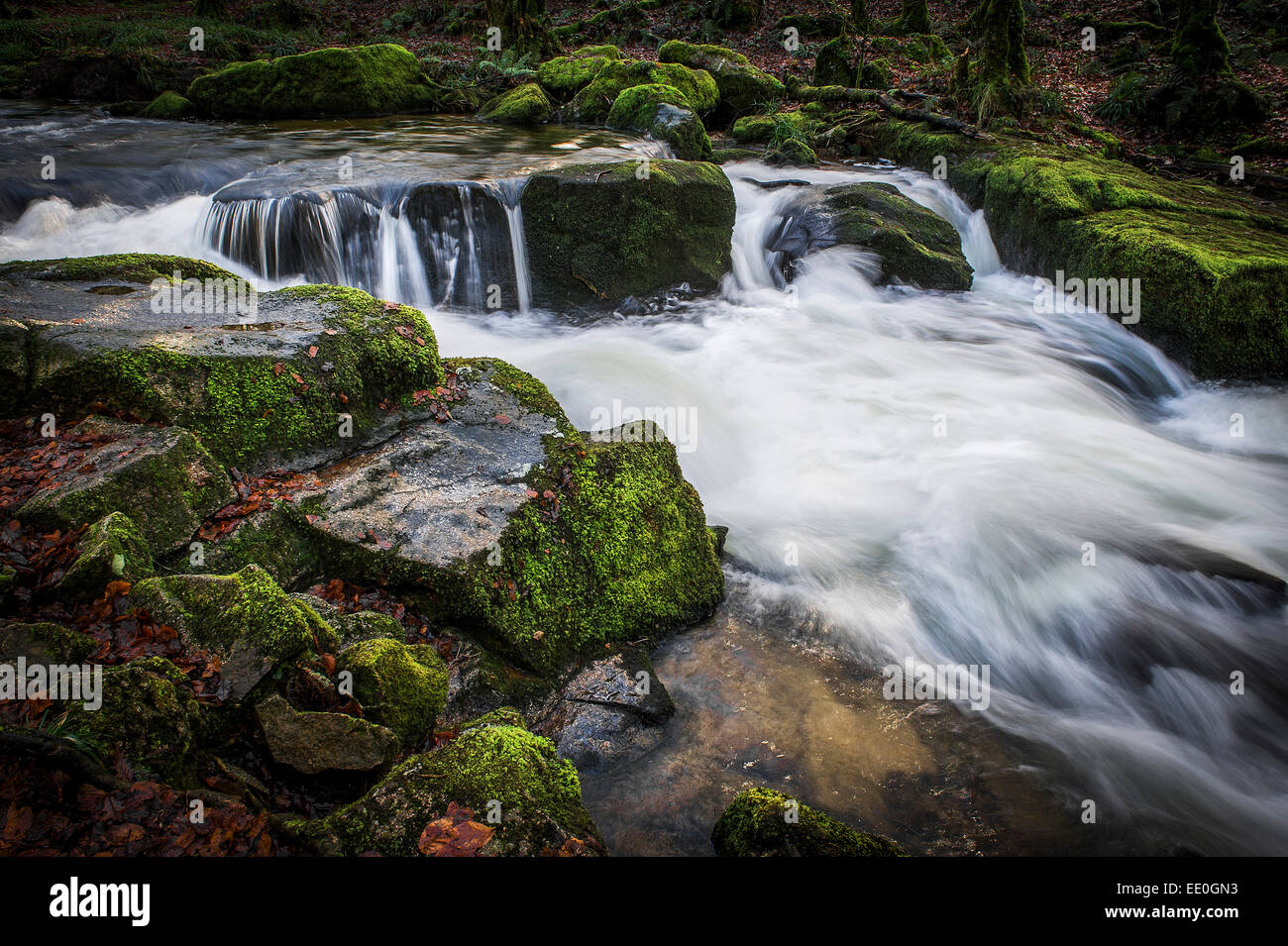 The River Fowey running through the Golitha Falls National Nature ...