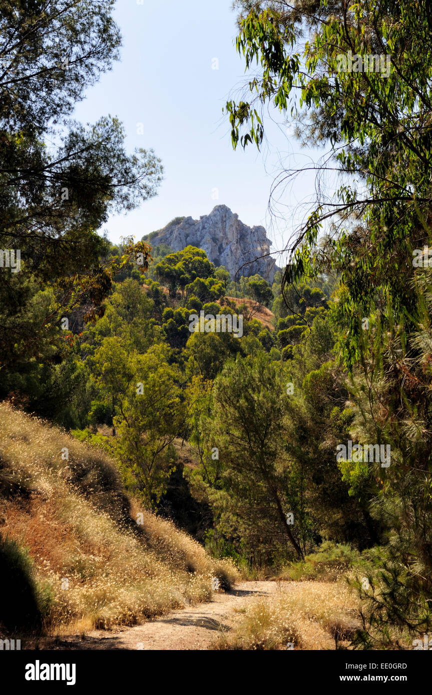 A path in a wood towards an high rock mount Stock Photo - Alamy