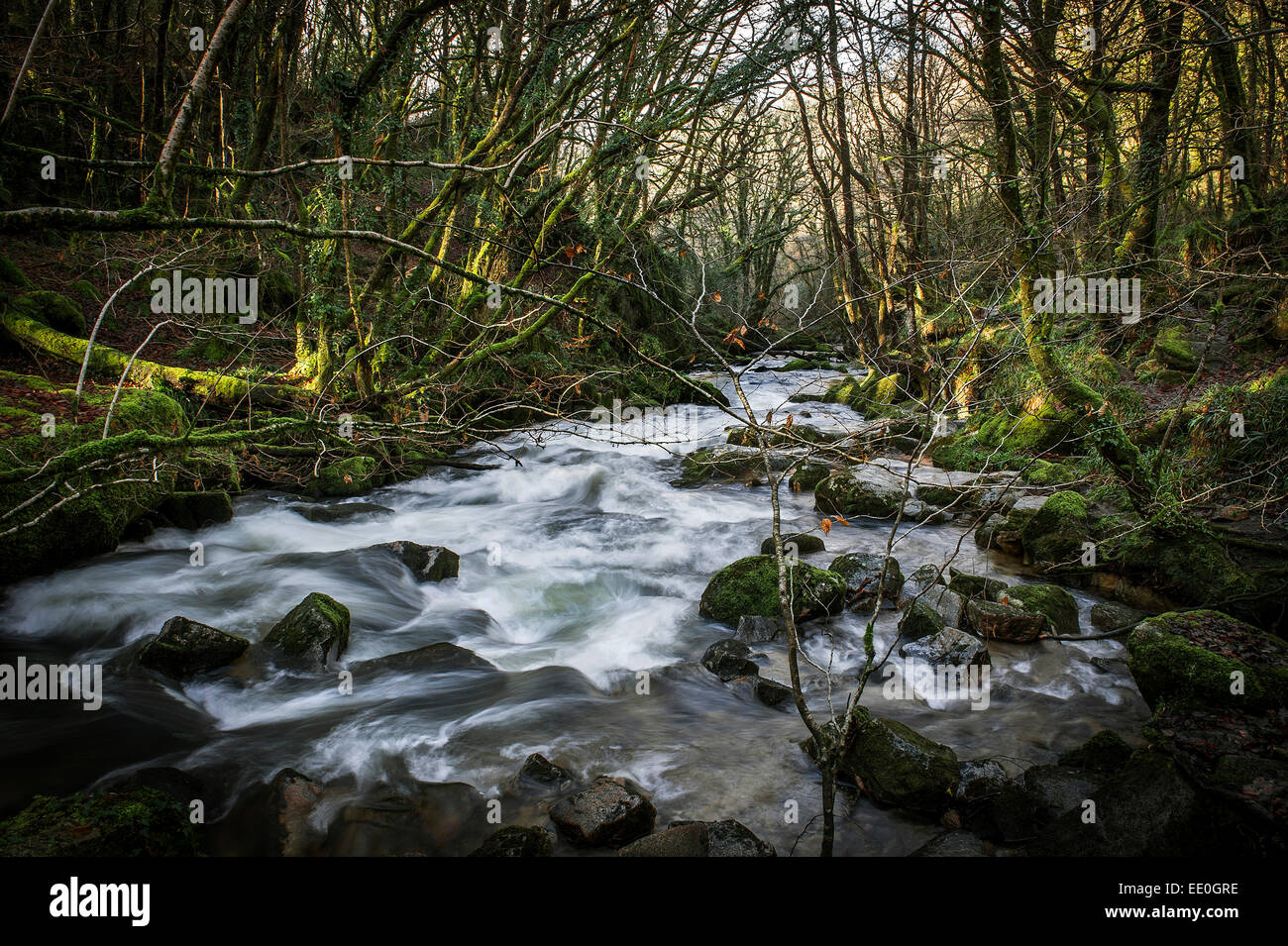 The River Fowey running through the Golitha Falls National Nature ...
