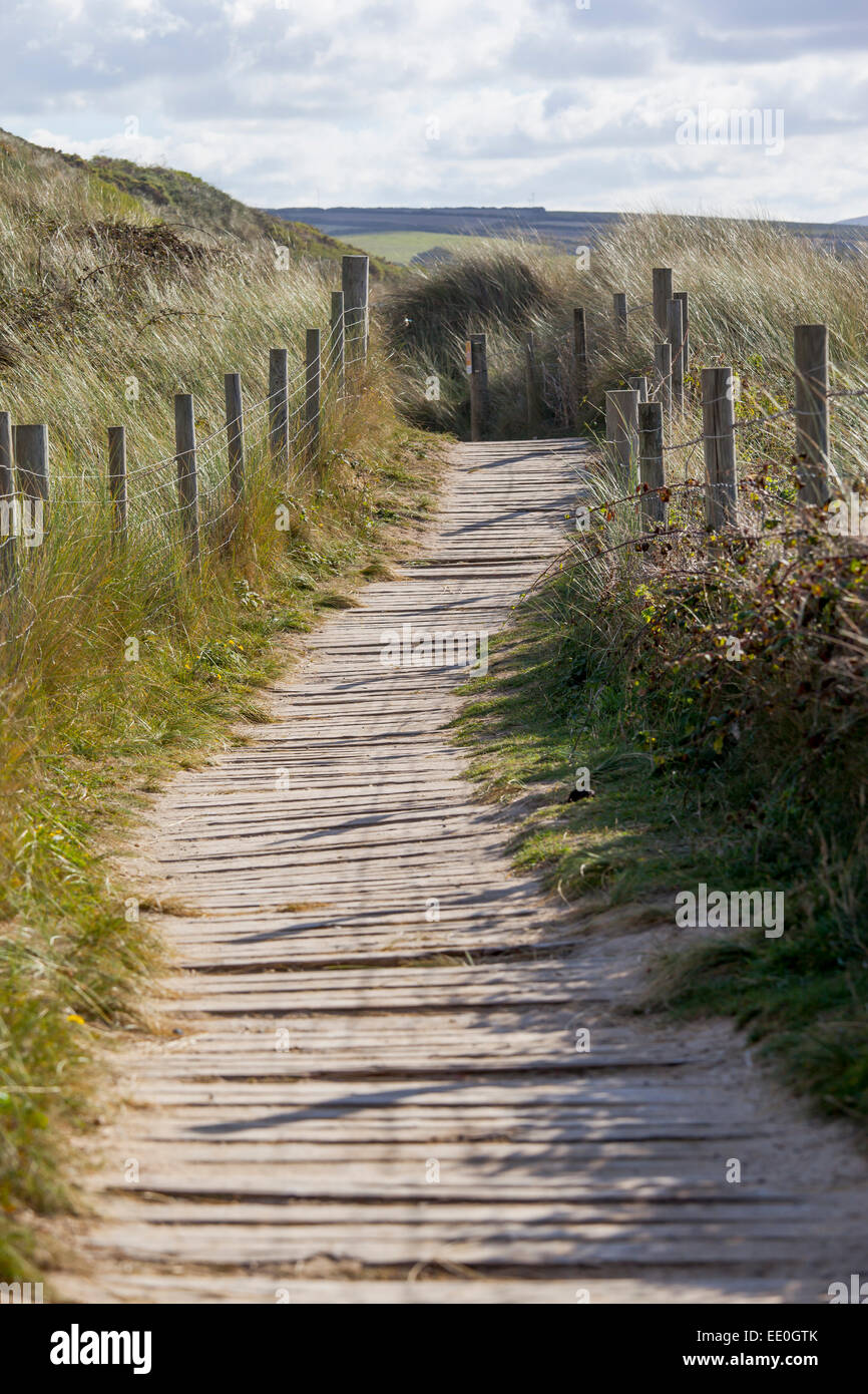 Footpath through sand dunes Stock Photo - Alamy