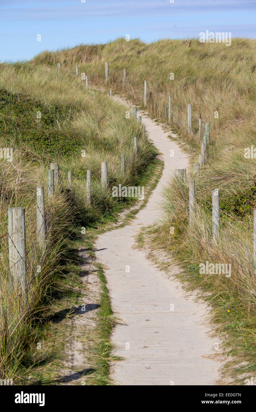 Footpath through sand dunes Stock Photo - Alamy