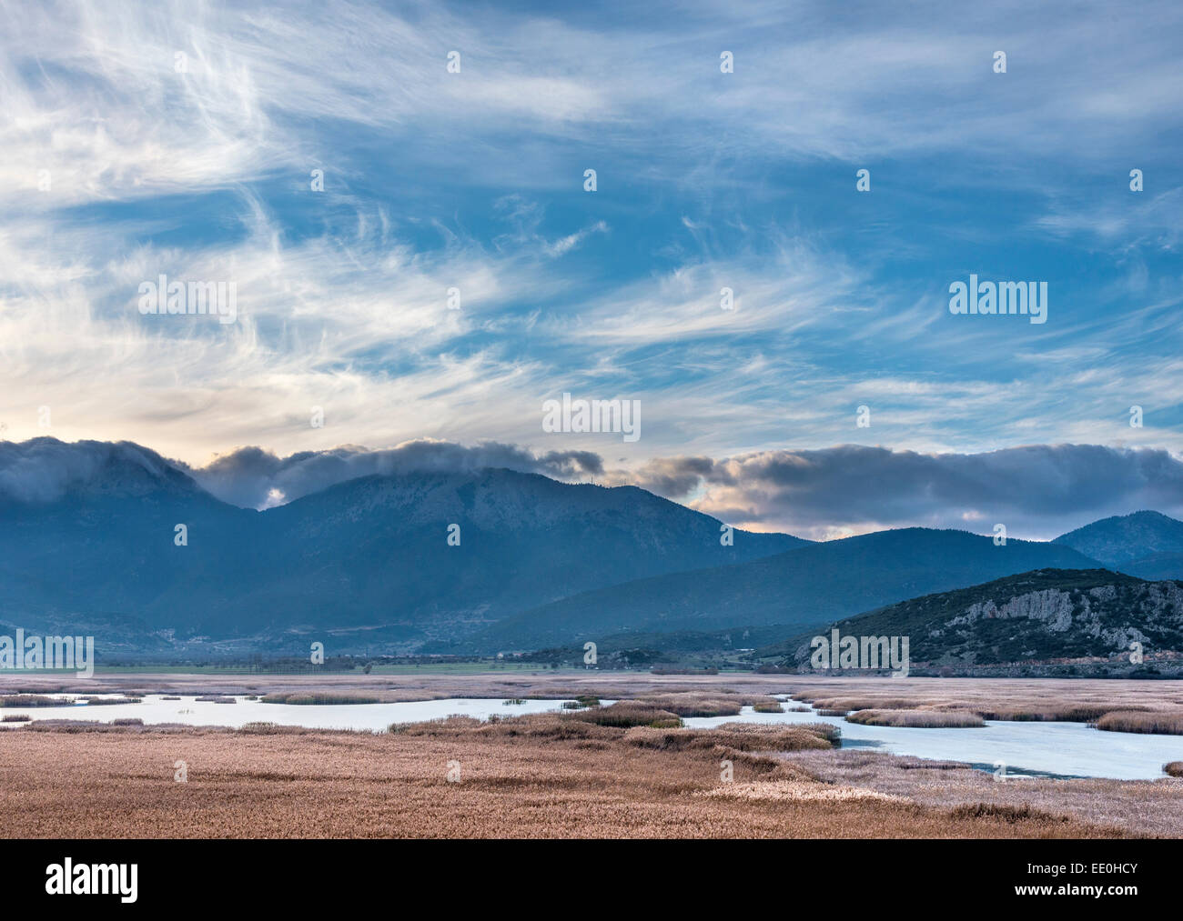 Stymphalia hi-res stock photography and images - Alamy