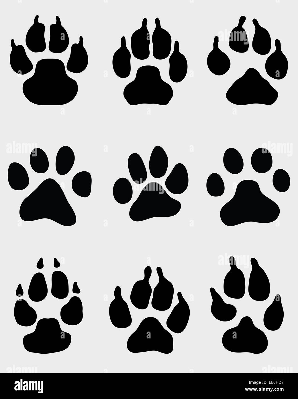 paw of dogs Stock Photo - Alamy