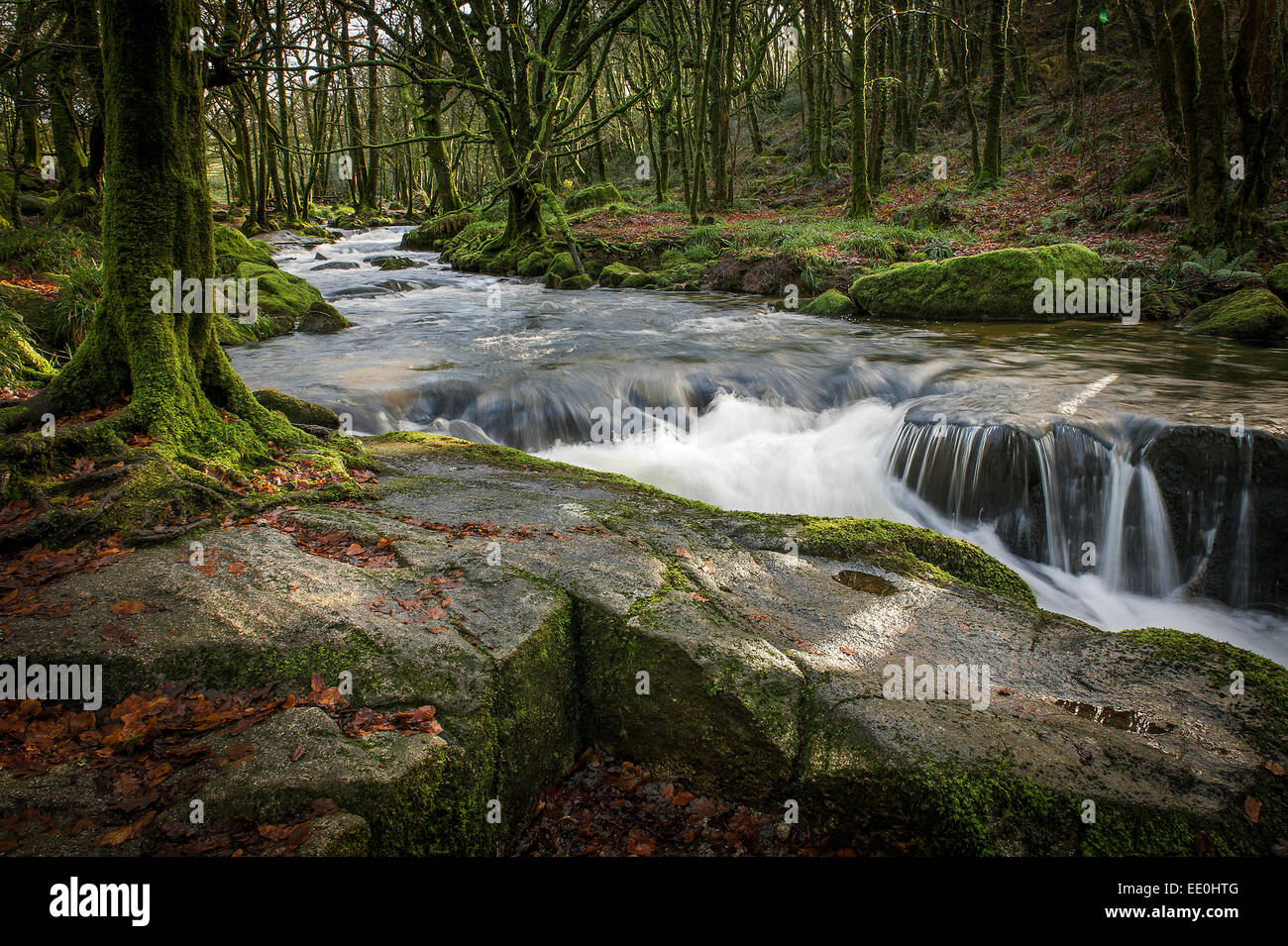 The River Fowey running through the Golitha Falls National Nature ...