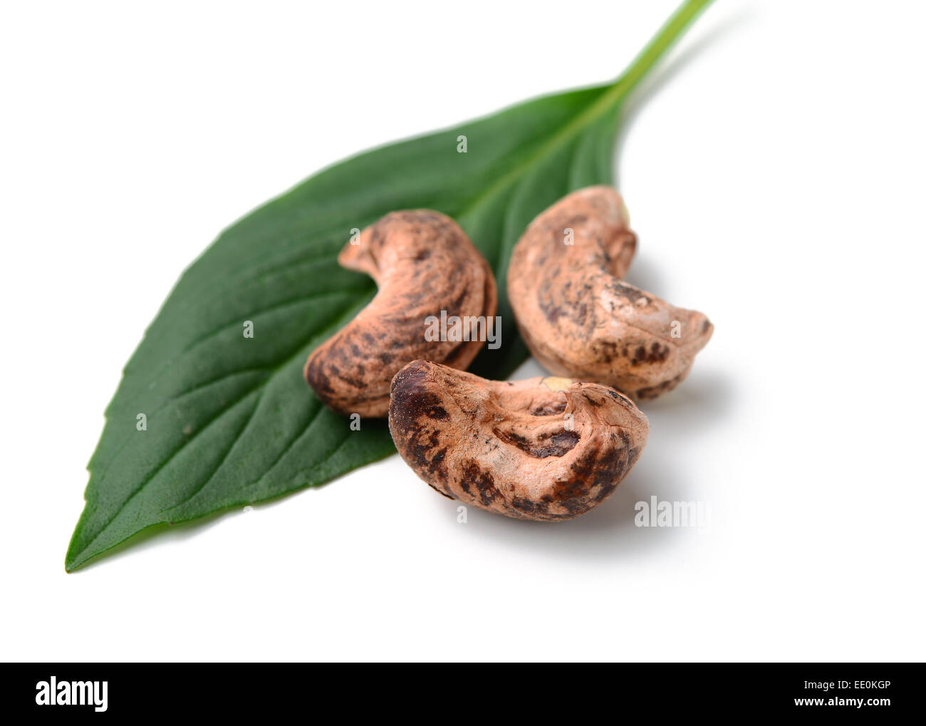 Peel nut hi-res stock photography and images - Alamy