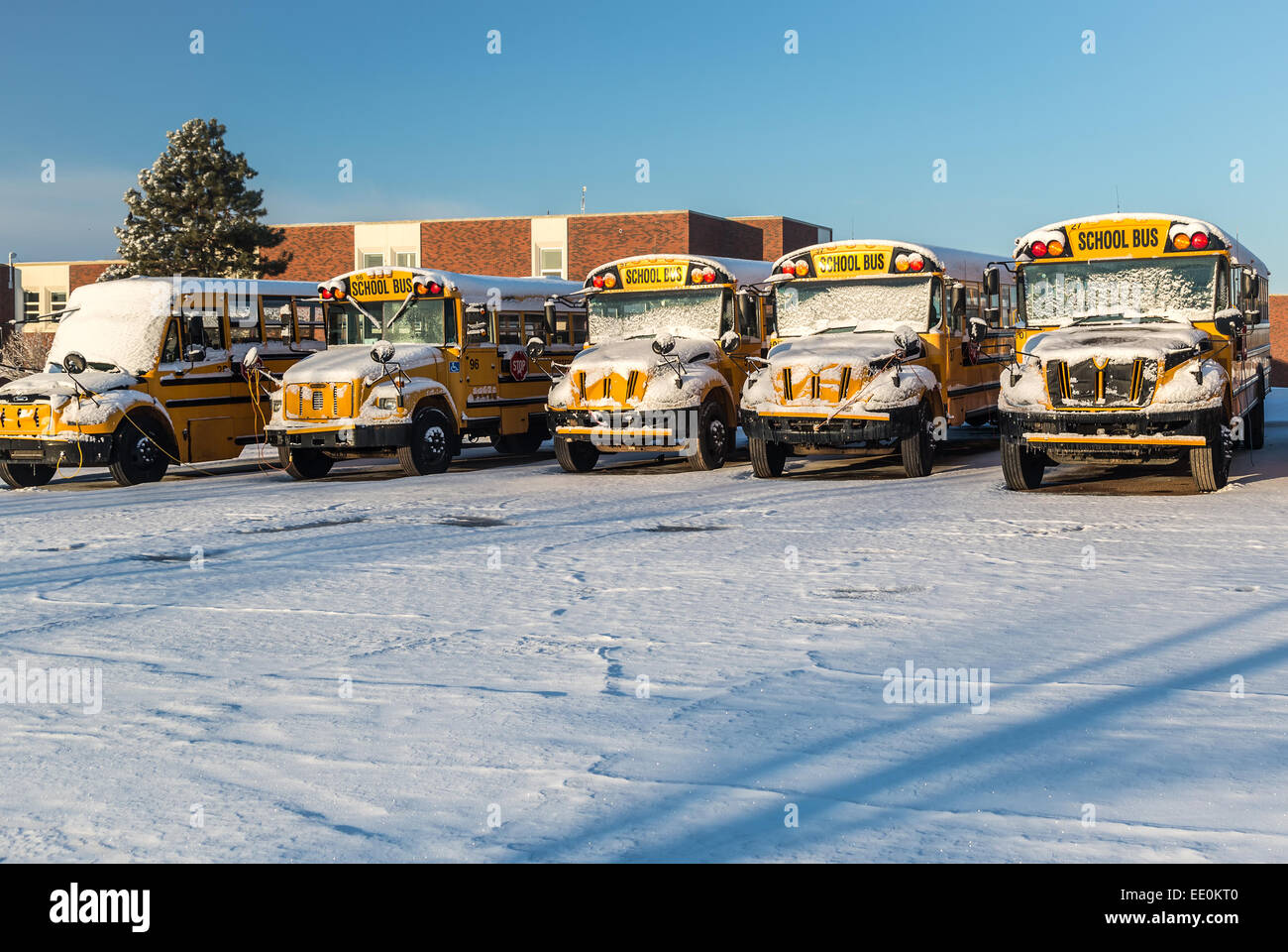 Schoolbus hi-res stock photography and images - Alamy